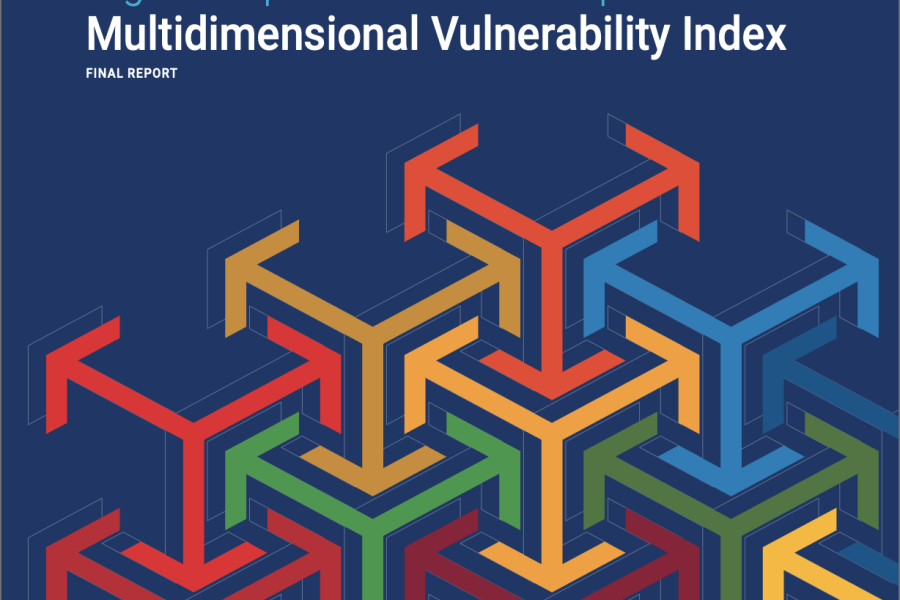High level panel on the development of a Multidimensional Vulnerability ...